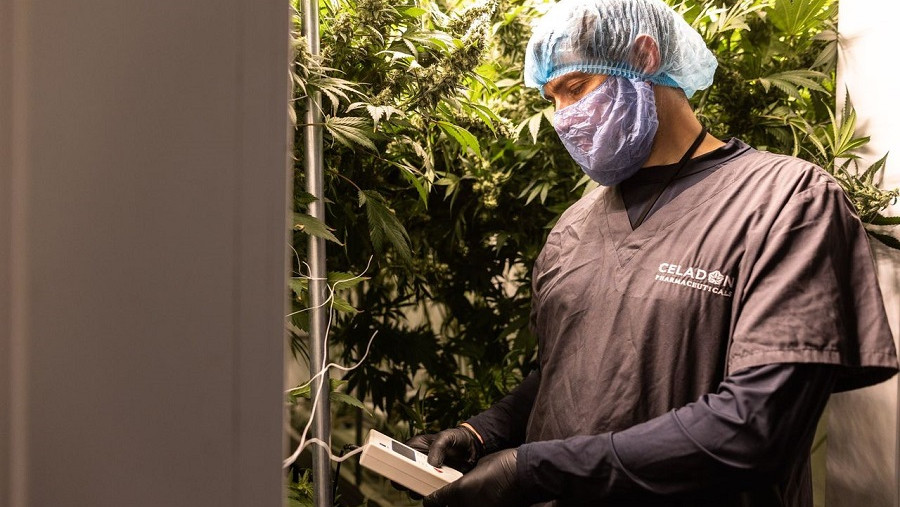 News - British Phytomedicines Alliance